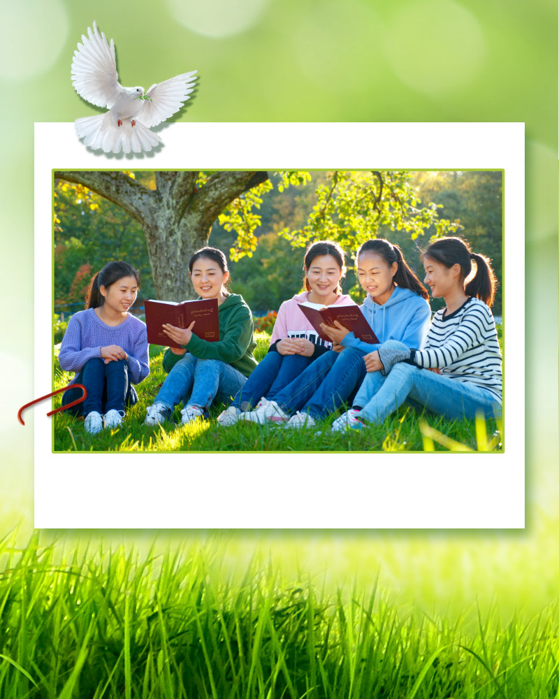 Renungan Pagi Kristen Singkat: 4 Cara Mencapai Hasil Dalam Renungan Rohani